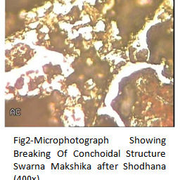 Metallographic Study of Ayurvedic Bhasmas- An Analytical Study of ...