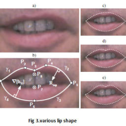 Lip and Head Gesture Recognition Based Pc Interface Using Image ...