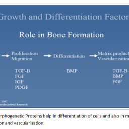 Bone Morphogenetic Proteins – An Update – Biomedical and Pharmacology ...