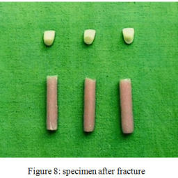 A Comparitive Study on the Tensile Bond Strength of Conventional ...