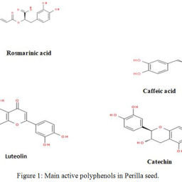 A Review on Nutritional Value, Functional Properties and ...