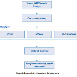 Improved Methods for Brain Tumor Detection and Analysis Using MR Brain ...