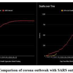 Corona Virus: A Novel Outbreak – Biomedical and Pharmacology Journal