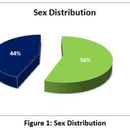 Comparison of Blunt Abdominal Trauma Scoring System (BATSS) versus FAST ...