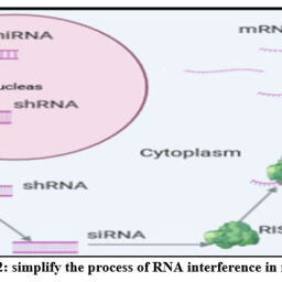 RNA-targeting Therapy: A Promising Approach to Reach Non-Druggable ...