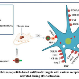 Liver Fibrosis: Underlying Mechanisms and Innovative Therapeutic ...
