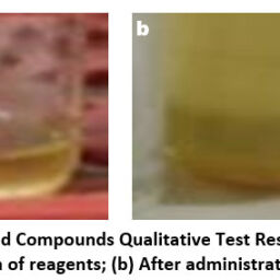 Analysis of Bioactive Compounds in Nabeez Water – Biomedical and ...