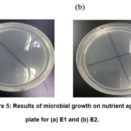 Fabrication of Emulsion Loaded with Cyclosporine and Moringa Oleifera ...