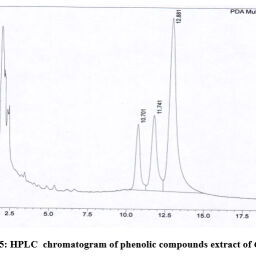 Evaluation of Antibacterial Activity of Extracts of Curcuma Longa L ...