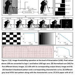 Computationally Efficient LOB Algorithm for Digitization of Degraded ...