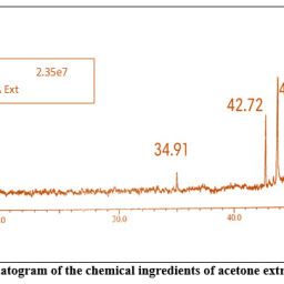 GC-MS Analysis of Phytoactive Compounds, Antioxidant and Antibacterial ...