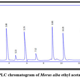 Polyphenolic Profiles and Cytotoxic Effect of Iraqi Morus alba leaves ...