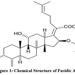 Development and Validation of HPLC Method For the Detection of Fusidic ...