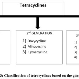 Tetracyclines: The Old, the New and the Improved – A Short Review ...