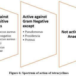 Tetracyclines: The Old, the New and the Improved – A Short Review ...