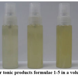 Development of Rice By-Products Based Hair Tonic Mixed with Traditional ...