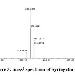UPLC-ESI-MS\MS Phytochemicals Profiling of n-Butanol Chloroform and ...