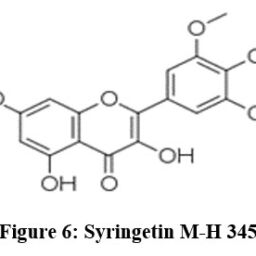 UPLC-ESI-MS\MS Phytochemicals Profiling of n-Butanol Chloroform and ...