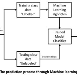 Chronic Kidney Disease Detection Using Machine Learning: From Analysis ...
