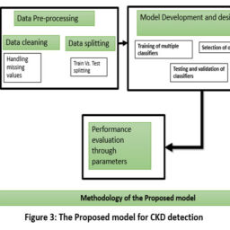 Chronic Kidney Disease Detection Using Machine Learning: From Analysis ...