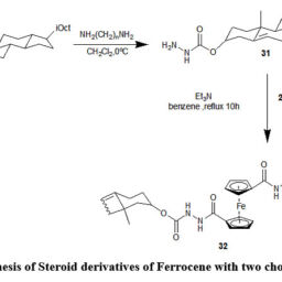 Exploring the Versatility of Ferrocene and its Derivatives: A ...