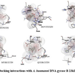 Molecular Docking Studies and Antibacterial Evaluation of Urtica ...
