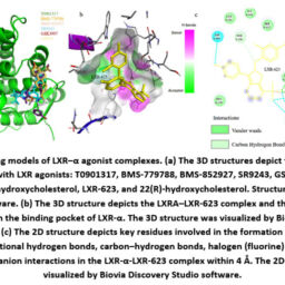 Identification of Novel Compounds Targeting the Liver X Receptor (LXR ...