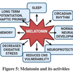 Unraveling Neurodevelopmental Disorders: Signalling Pathways as ...