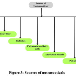 Nano Nutraceuticals: Revolutionizing the Future of Health Supplements ...