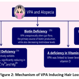 Effectiveness and Adverse Drug Reaction Mechanisms Associated with ...