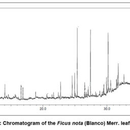 Identification and Quantification of the Secondary Metabolites of Ficus ...