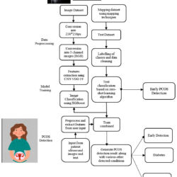 PCOS Detection using Hybrid CNN-XGBoost Model – A Multimodal Data ...