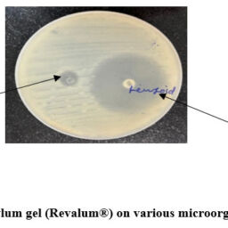 Evaluation of Hemostatic and In vitro Antimicrobial Activity of ...