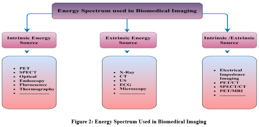 Multimodal Medical Image Fusion: A Review of Imaging Modalities ...
